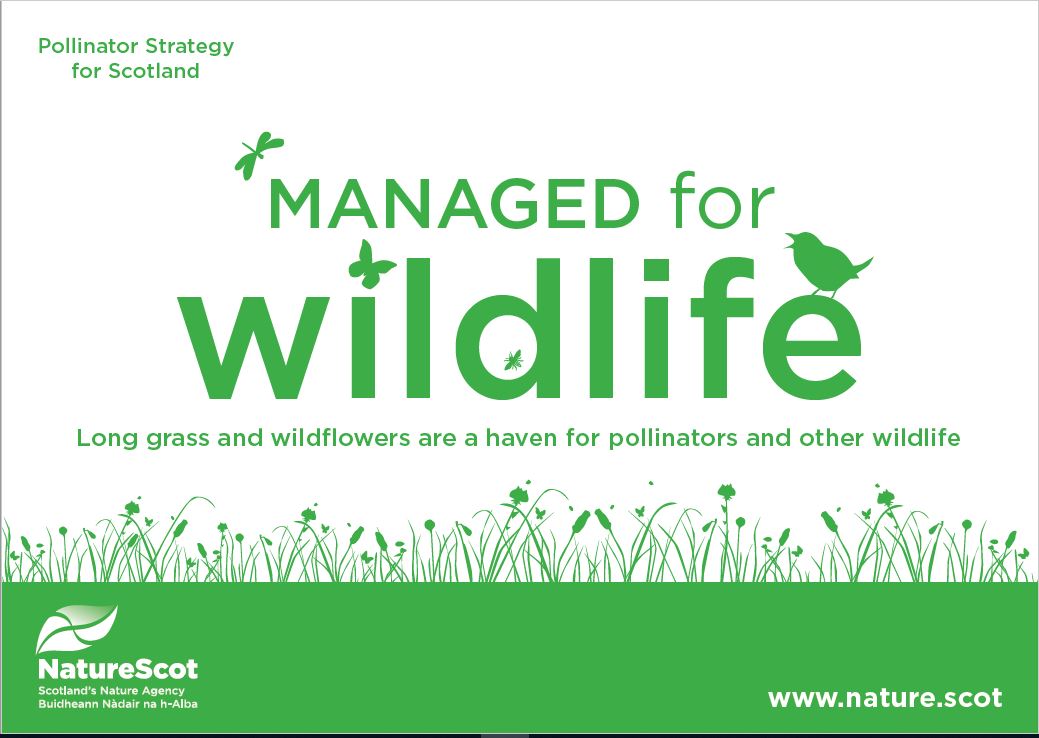Pollinators - Managed for Wildlife sign | NatureScot