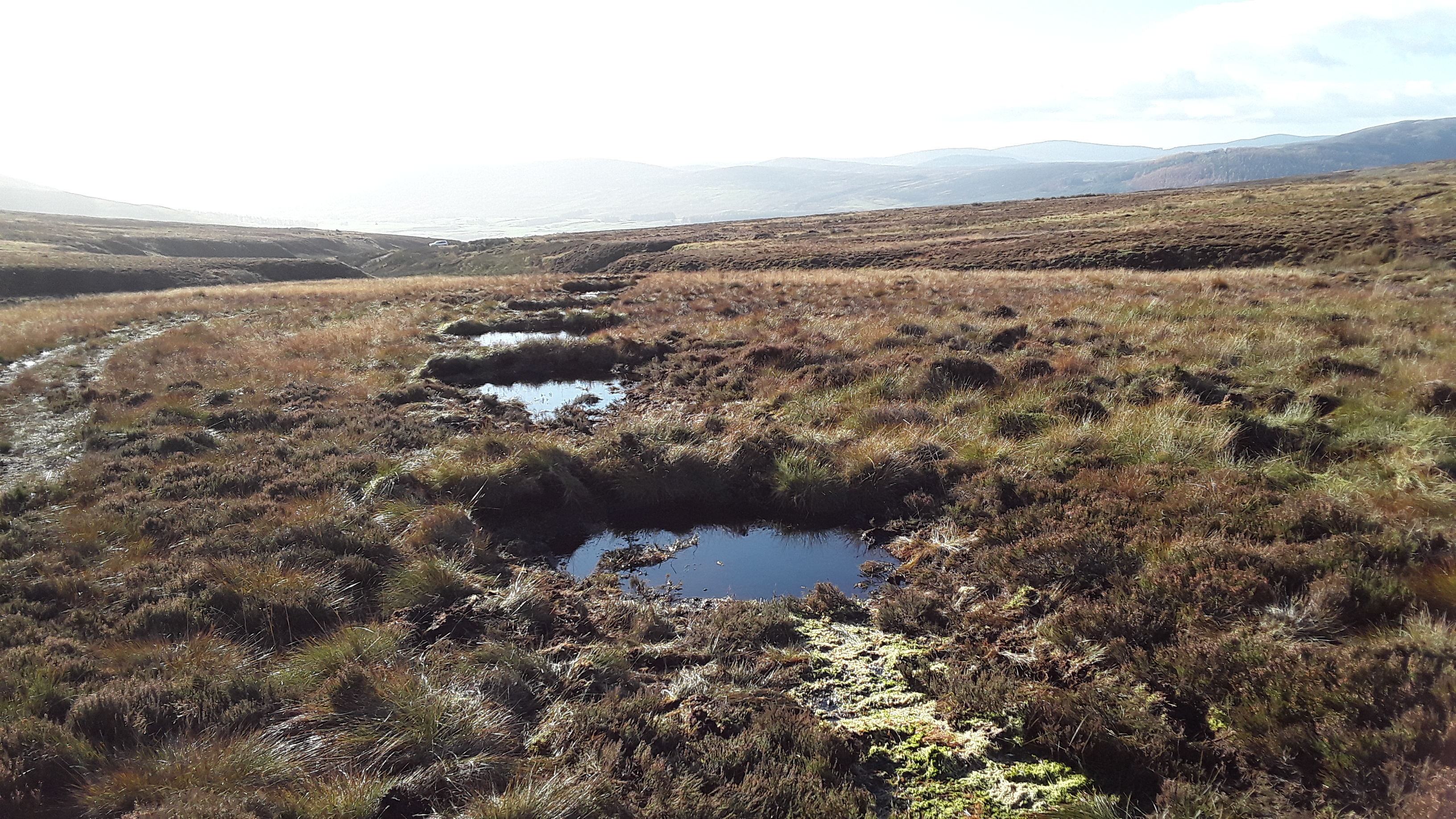 Peatland ACTION case study: What's the connection between peat ...