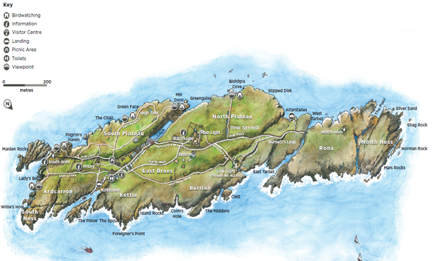 Isle of May National Nature Reserve - Annual Report 2024 | NatureScot