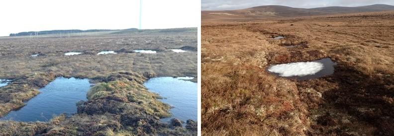 Peatland ACTION - Technical Compendium - Restoration - 4 Artificial ...