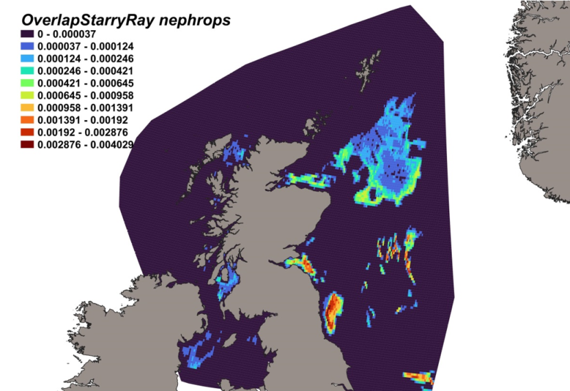 NatureScot Research Report 1365 - Elasmobranch distributions and ...