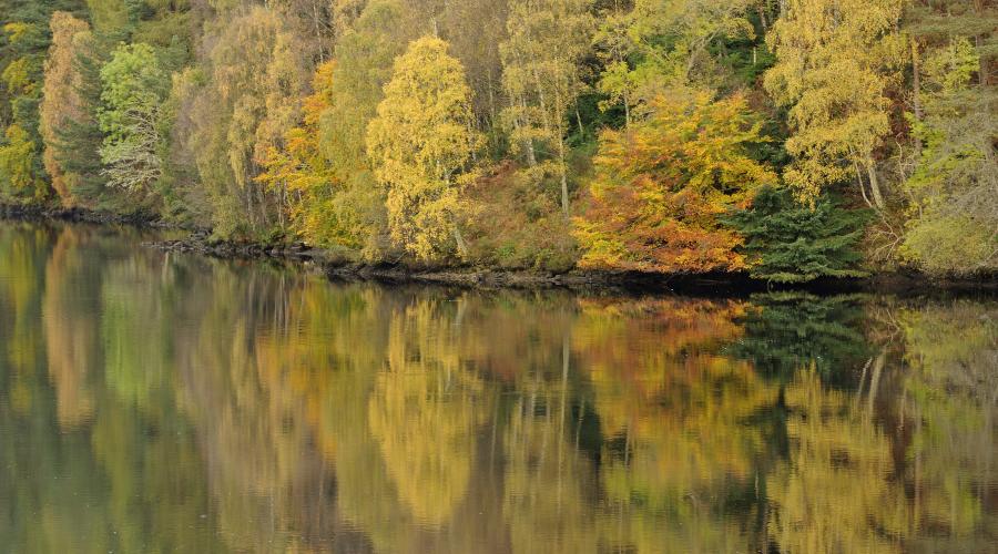 NatureScot